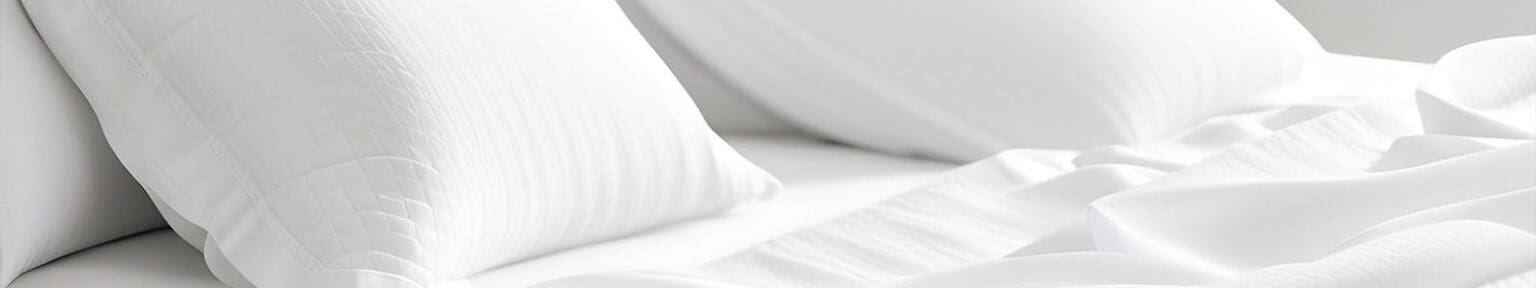 Outer Banks Pest Control and Wildlife Removal | Pro 1 Pest Control