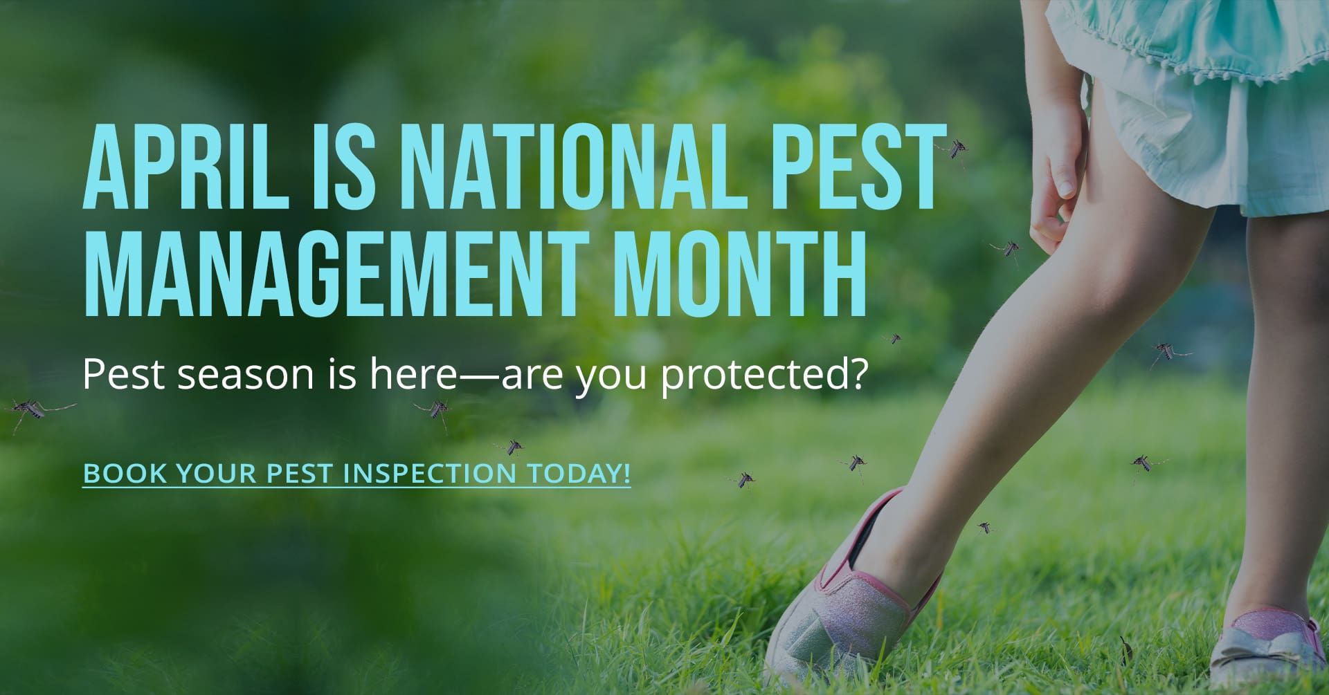 Outer Banks Pest Control and Wildlife Removal | Pro 1 Pest Control